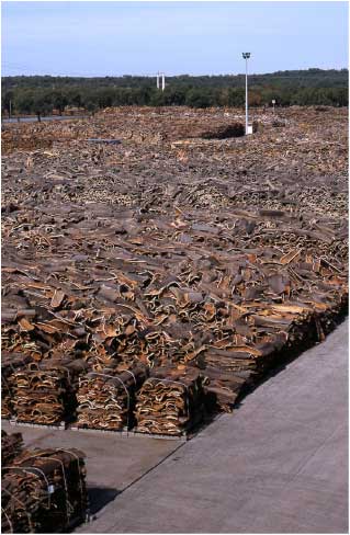 Cork-production – Multicork Solutions